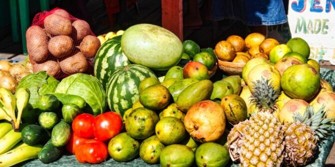 Pannié péyi - acsionservices.org